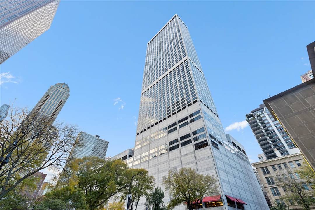 180 E Pearson, Unit 4002, Chicago, IL 60611 - Streeterville