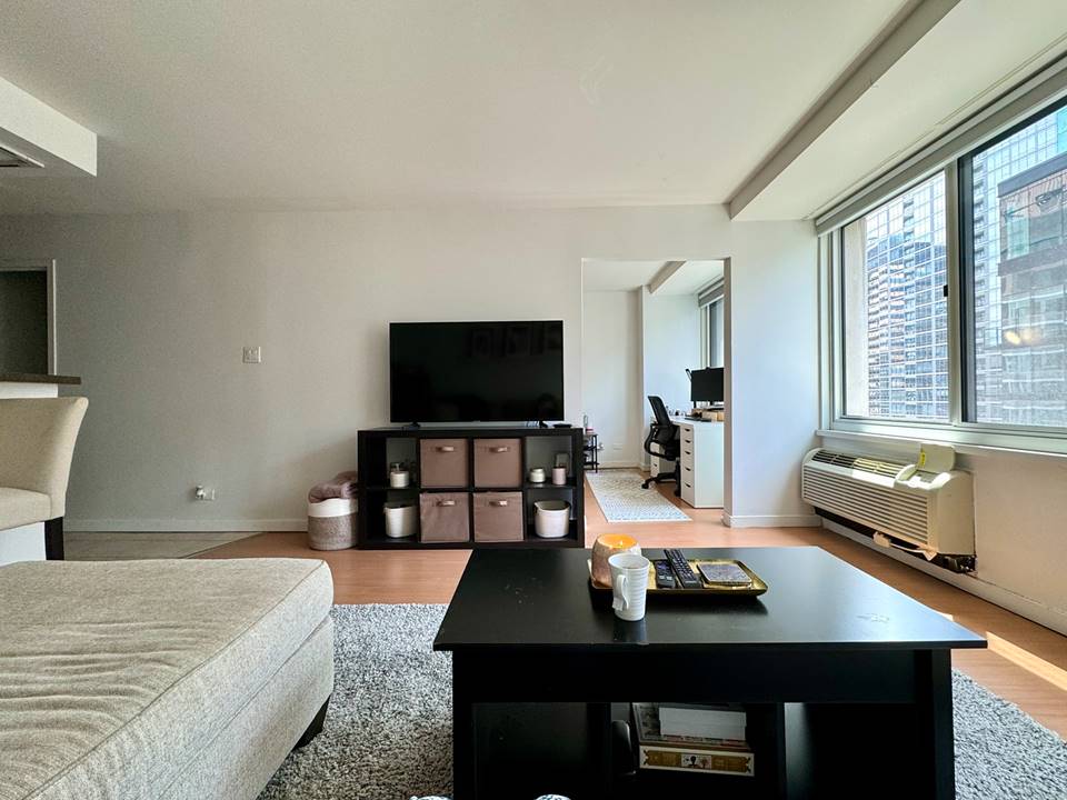 211 E Ohio, Apt 2411, Chicago, IL 60611 - Streeterville
