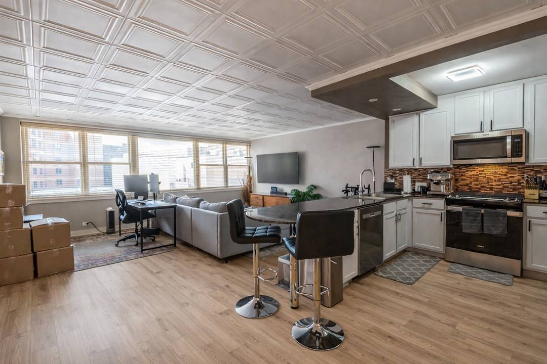 2300 N Commonwealth, Apt 5H, Chicago, IL 60614 - Lincoln Park