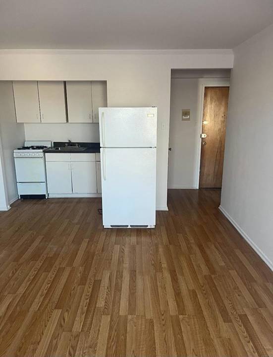 2610 W Berwyn, Apt 207, Chicago, IL 60625 - Ravenswood