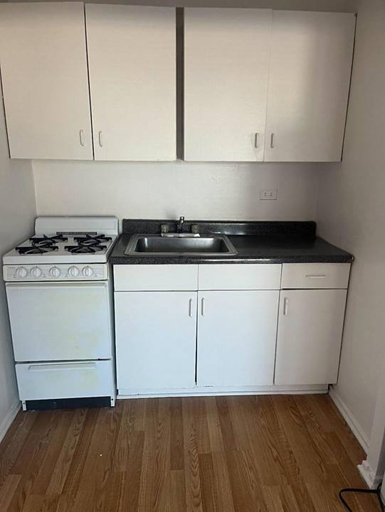 2610 W Berwyn, Apt 207, Chicago, IL 60625 - Ravenswood