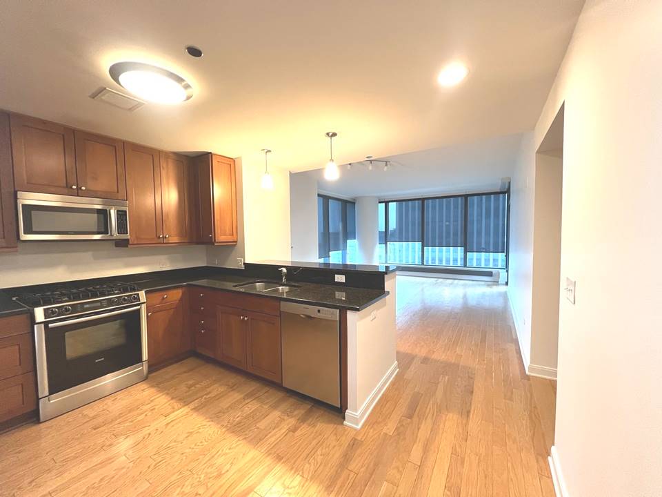 60 E Monroe, Apt 2604, Chicago, IL 60603 - The Loop